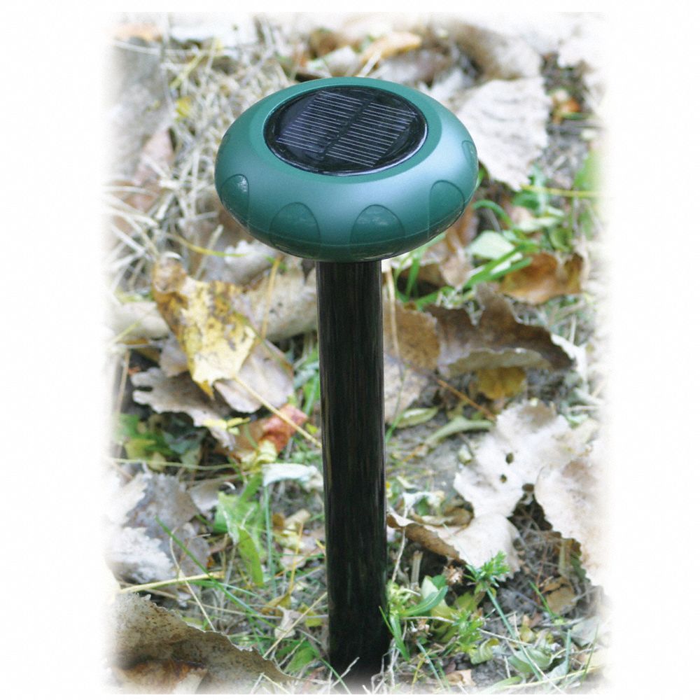 SAFETY TECHNOLOGY INTERNATIONAL Solar Wireless Driveway Monitor Kit ...