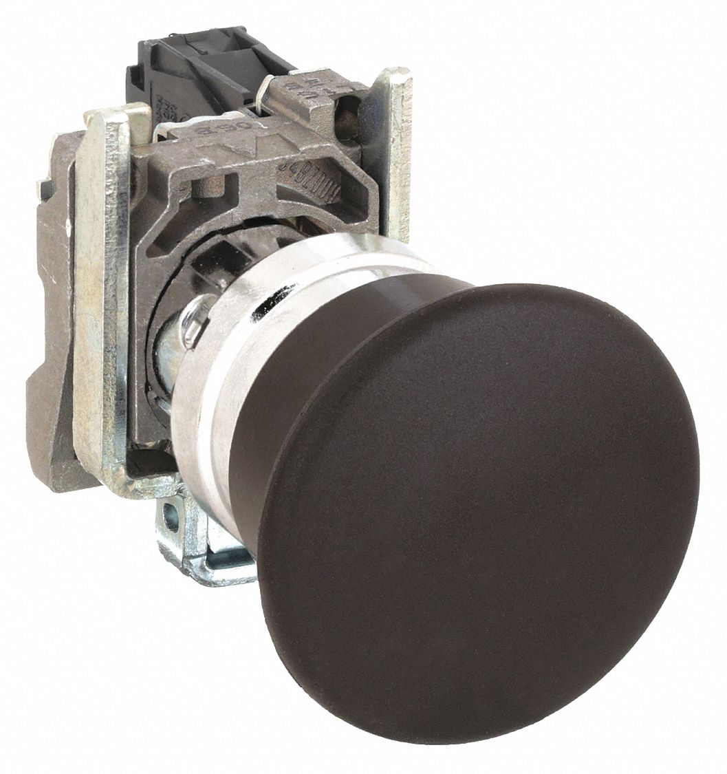 SCHNEIDER ELECTRIC Botón de Presión No Iluminado, Tamaño: 22mm, Acción ...