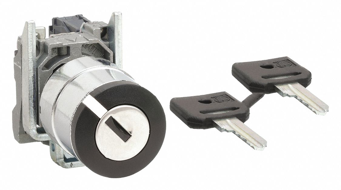 SCHNEIDER ELECTRIC, 2 Position, 22 mm Panel Mounting Size, Selector ...