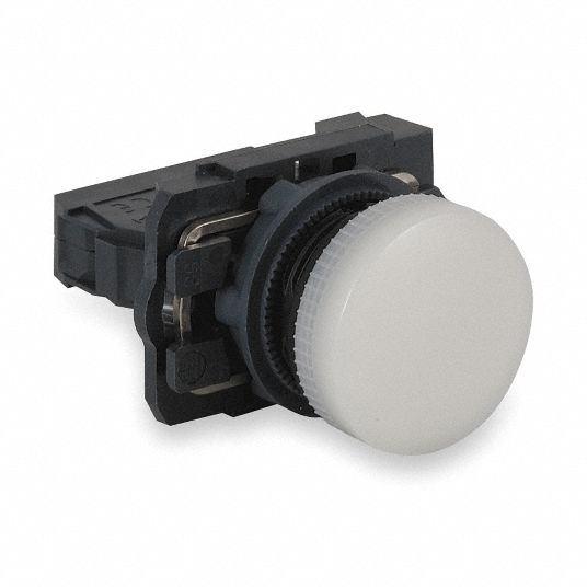 SCHNEIDER ELECTRIC, 22 mm Panel Mounting Size, White, Pilot Light ...