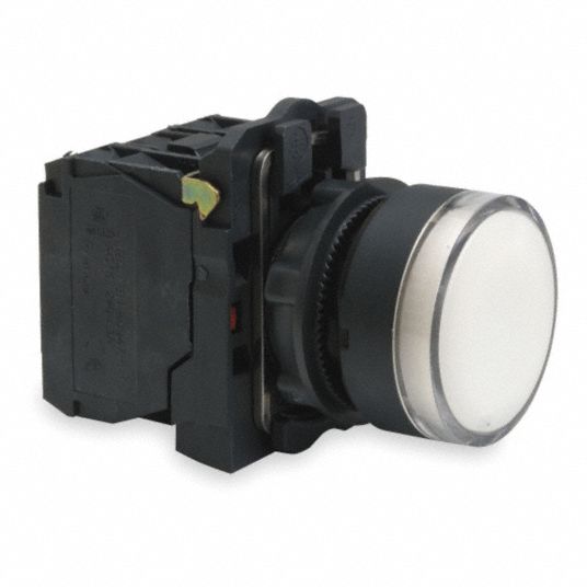 SCHNEIDER ELECTRIC, Illuminated Push Button, Maintained / Momentary ...
