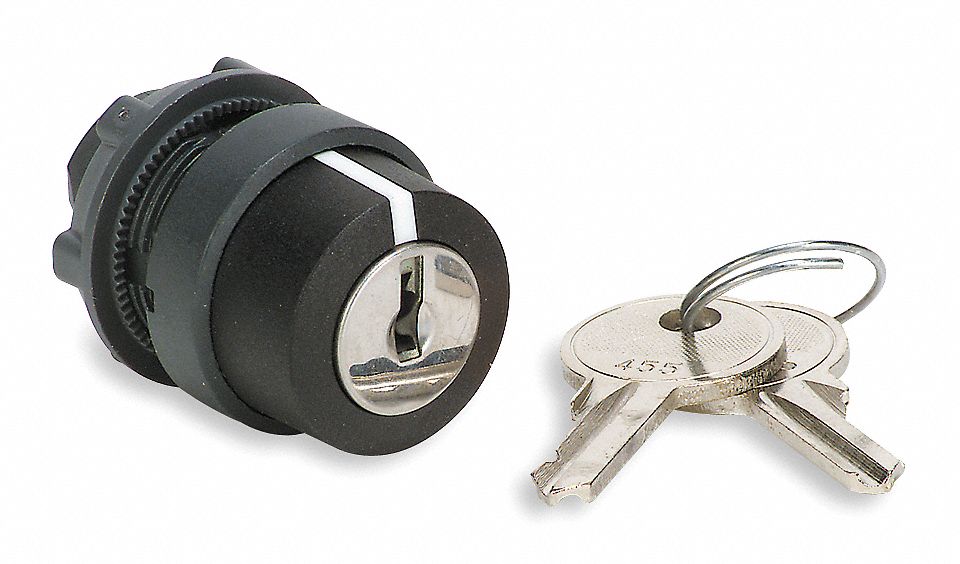 SCHNEIDER ELECTRIC, 2 Position, 22 mm Panel Mounting Size, Keyed ...