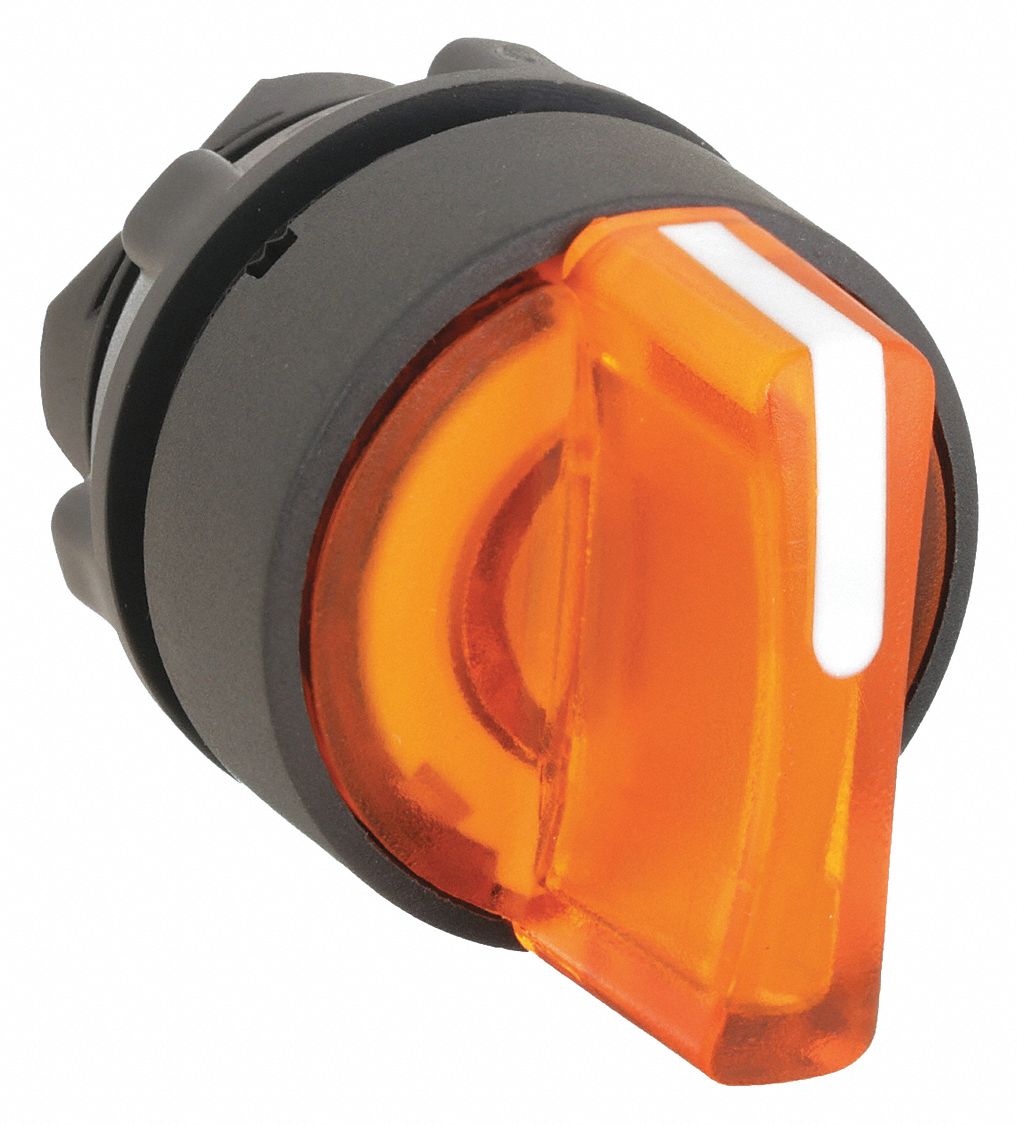 SCHNEIDER ELECTRIC, 22 mm Panel Mount Size, 2 Positions, Short-Handled ...