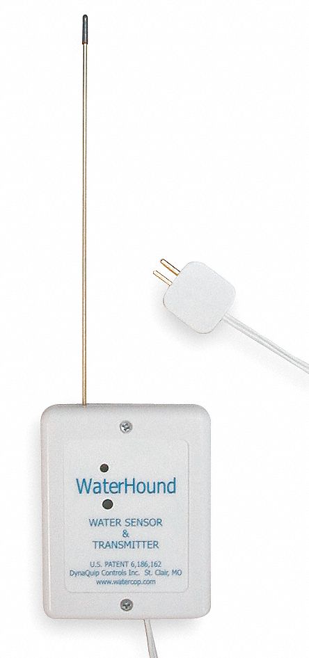 Sensor,Water - Grainger