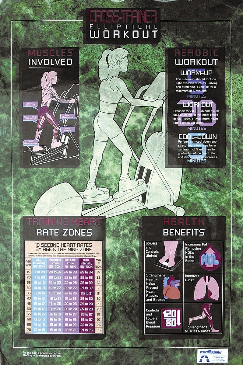 PROMAXIMA Exercise Posters, Set of 3 - 6PXT7|CV-CHART - Grainger