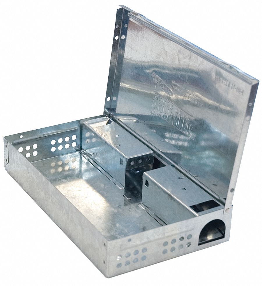 Multi Catch Repeater Mouse Trap Solid Grainger