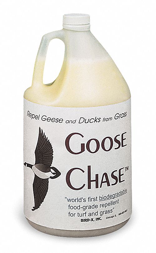 Goose Repellent - Grainger