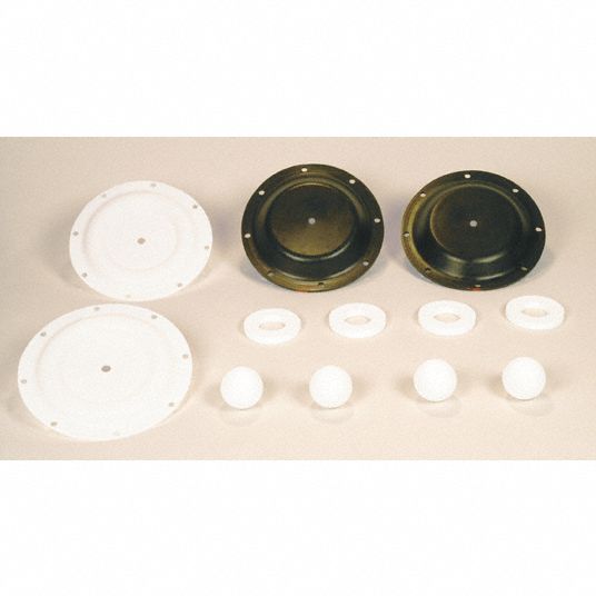 SANDPIPER Diaphragm Pump Repair Kit, PTFE, Includes 2 Diaphragms, 4 ...