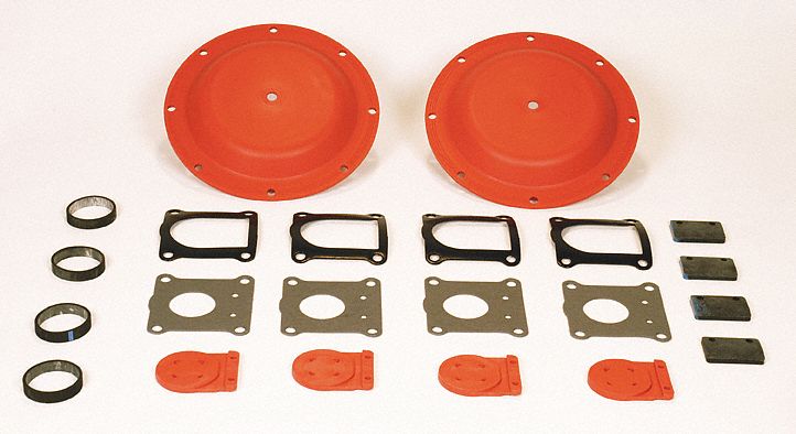 SANDPIPER Diaphragm Pump Repair Kit, Includes 2 Diaphragms, 4 Check ...