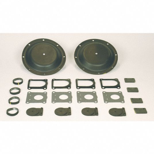 SANDPIPER Diaphragm Pump Repair Kit, Includes 2 Diaphragms, 4 Check ...