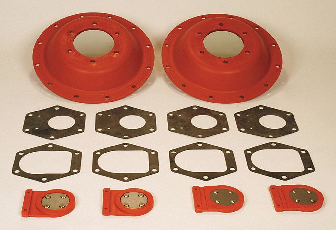 SANDPIPER Diaphragm Pump Repair Kit, Includes 2 Diaphragms, 4 Check ...