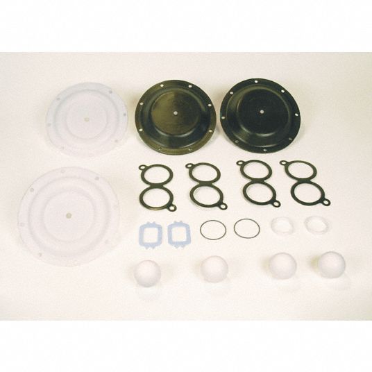 SANDPIPER Diaphragm Pump Repair Kit, Includes 2 Diaphragms, 4 Check ...