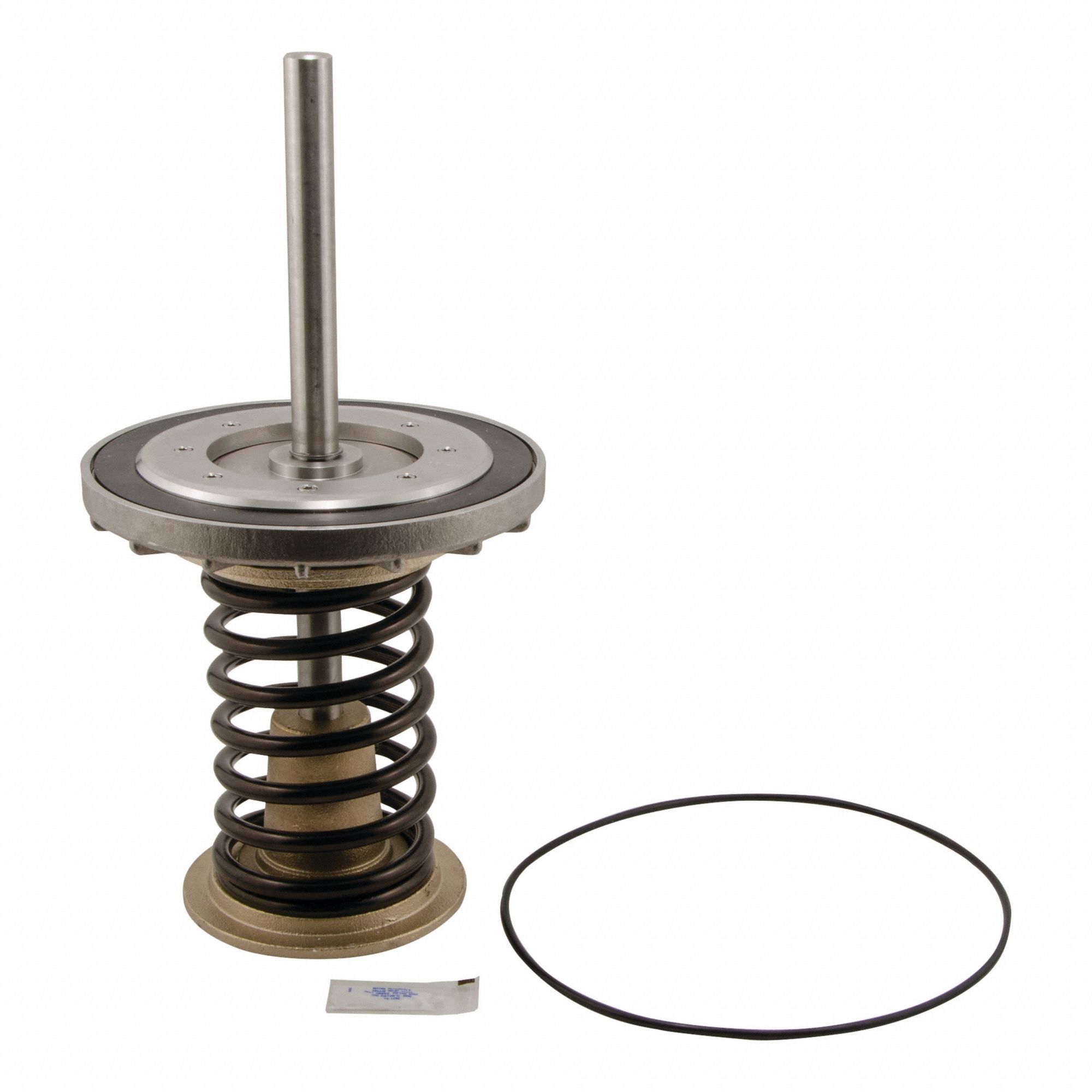 WATTS, First Check Valve Repair Kit, 793PG8, First Check Valve Repair ...