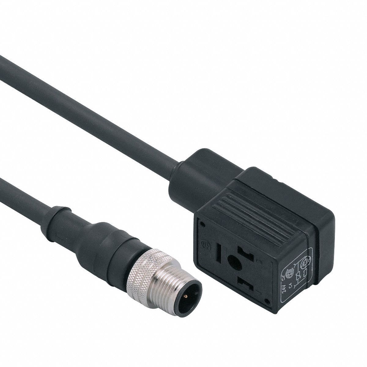 IFM, M12 Male Straight x DIN Form B, 2 ft Cable Lg, Patch cable ...