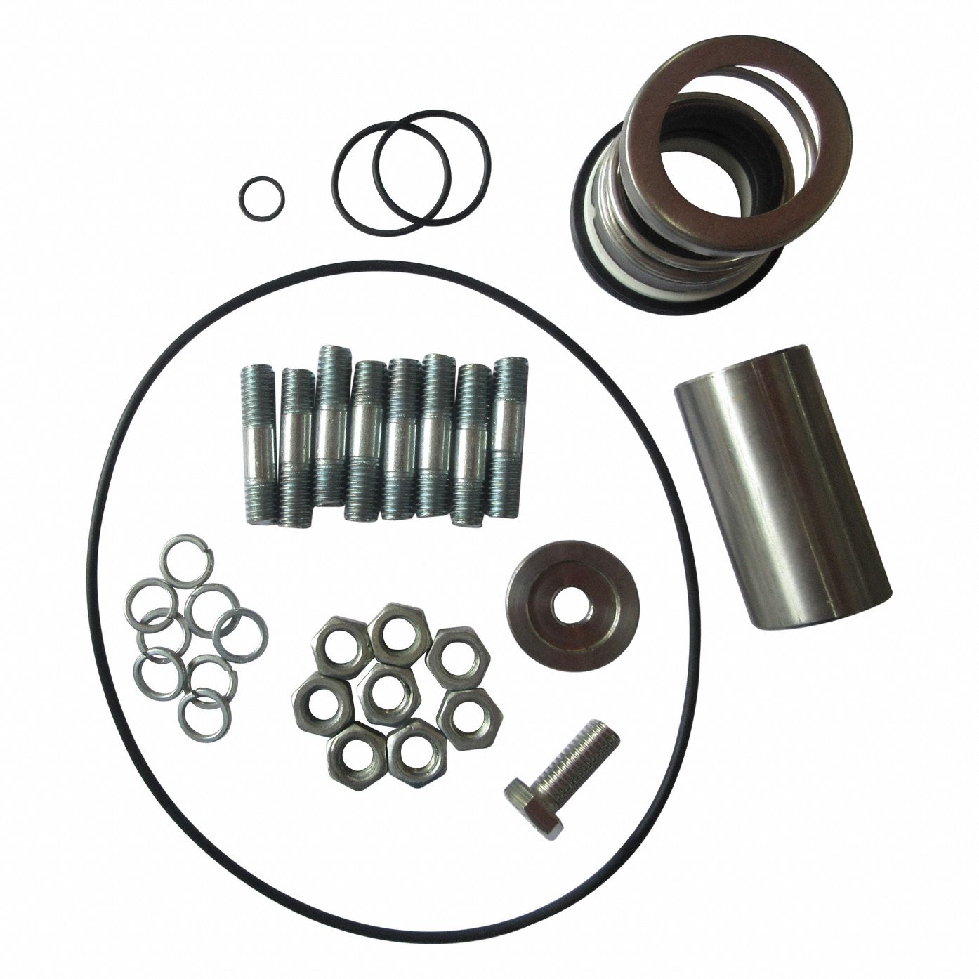 DAYTON, Mfr Part # GGS_103720, 55JJ58/55JJ61, Pump Repair Kit - 800VX7 ...