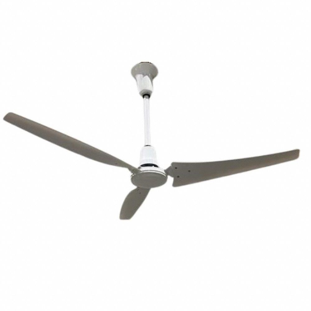 VES, 5 ft Blade Dia, 5 Speeds, Ceiling Fan - 809JK4|117700 - Grainger