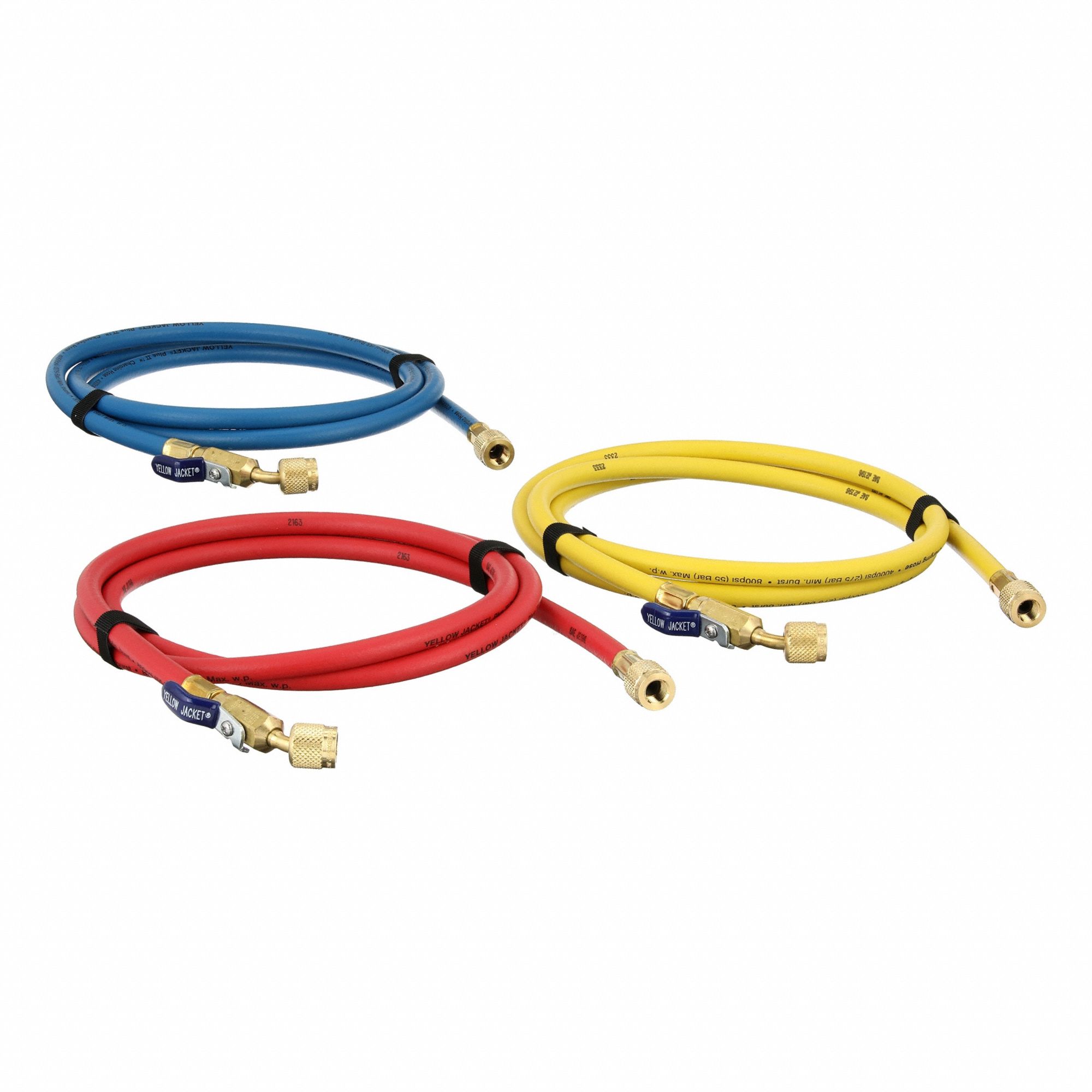 YELLOW JACKET, 16 in Lg, Blue/Red/Yellow, Hose - 809JV8|29486 - Grainger