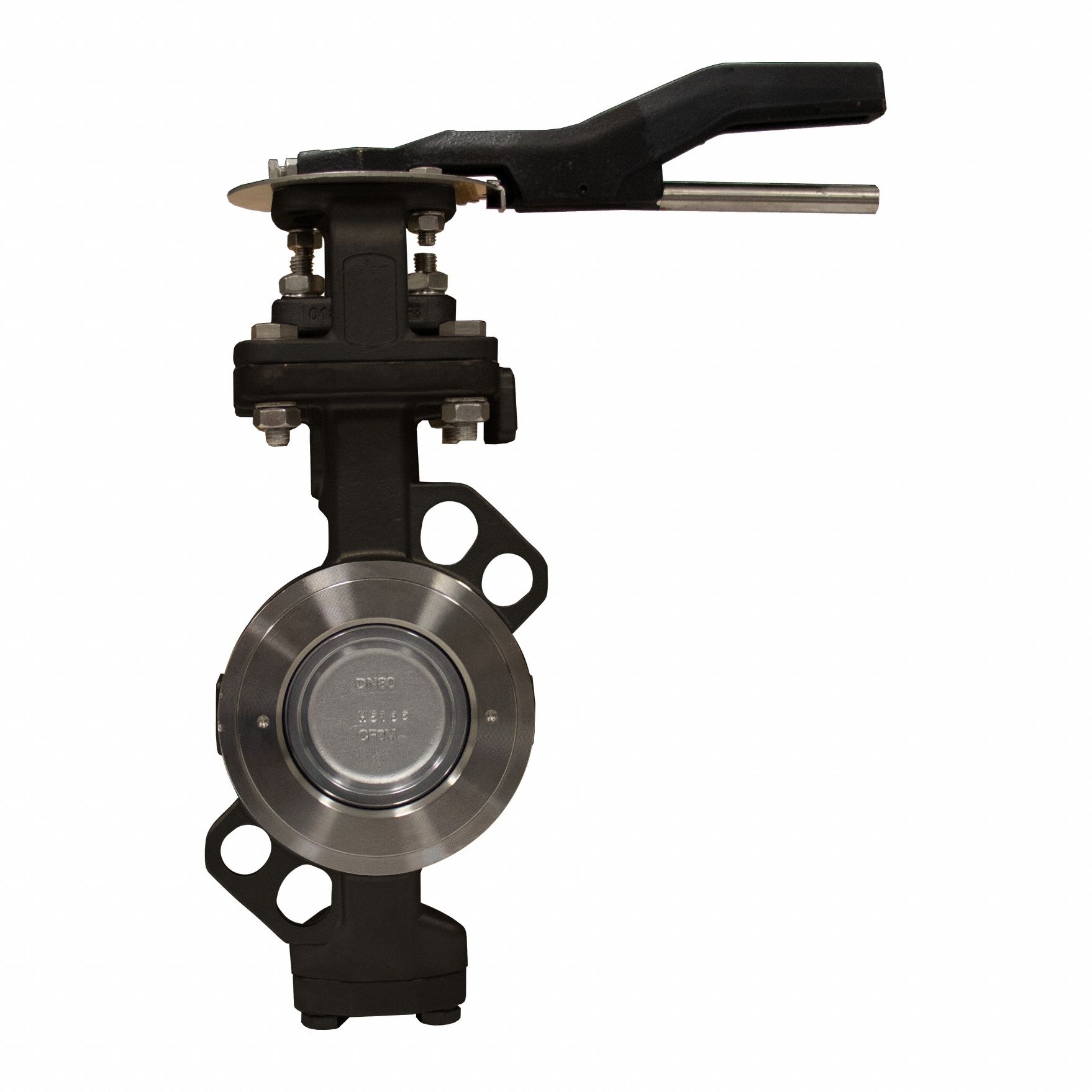 BONOMI, For Combustible Gases/Natural Gas/Steam/Water Media, 6 in Pipe ...