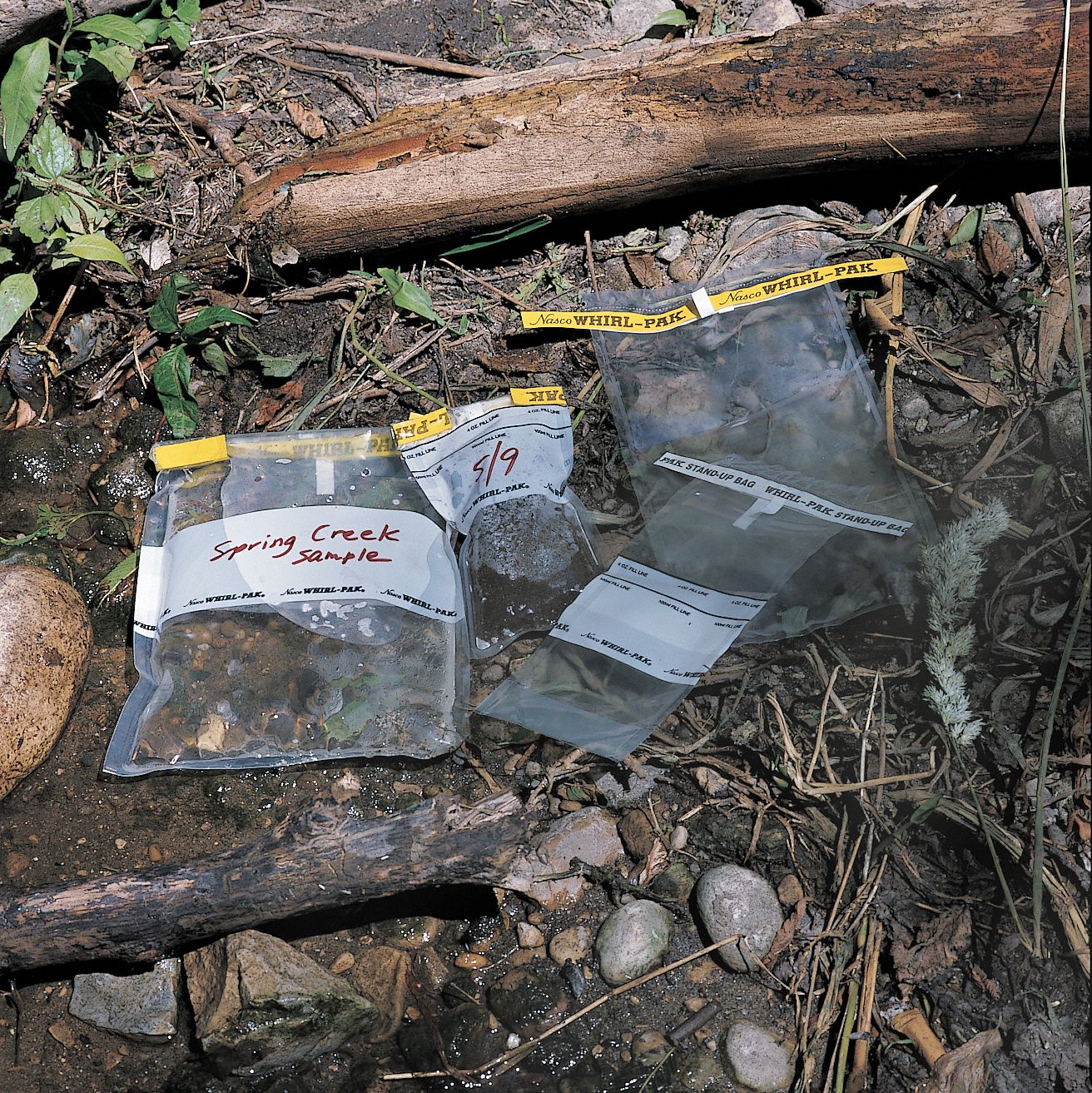 Sampling Bag, 5 in Length, 3 in Width, 2 oz Capacity, 2-1/4 mil ...