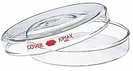 Glass Petri Culture Dish; PK72 - Grainger