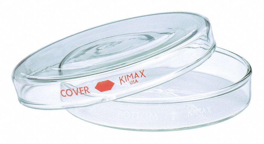 KIMBLE KIMAX Glass Petri Dish; PK24 - 8UX51|23060-15020 - Grainger