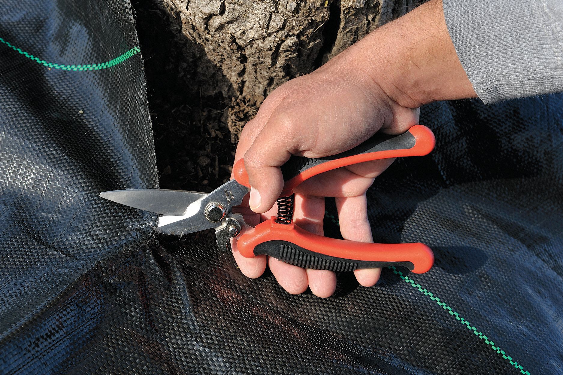 CRESCENT WISS Scissors: Right-Hand, 8 1/2 in Overall Lg, Straight ...