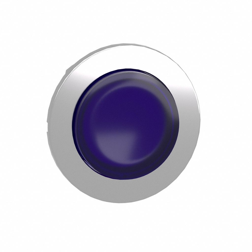 SCHNEIDER ELECTRIC, Blue, 30 mm Mounting Size, Extended Push Button ...