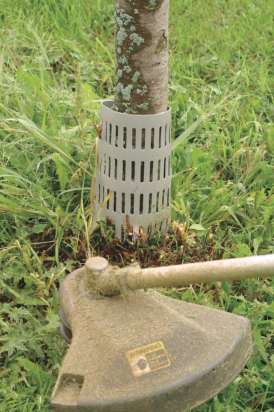 Tree Wraps and Tree Trunk Protectors - Grainger Industrial Supply
