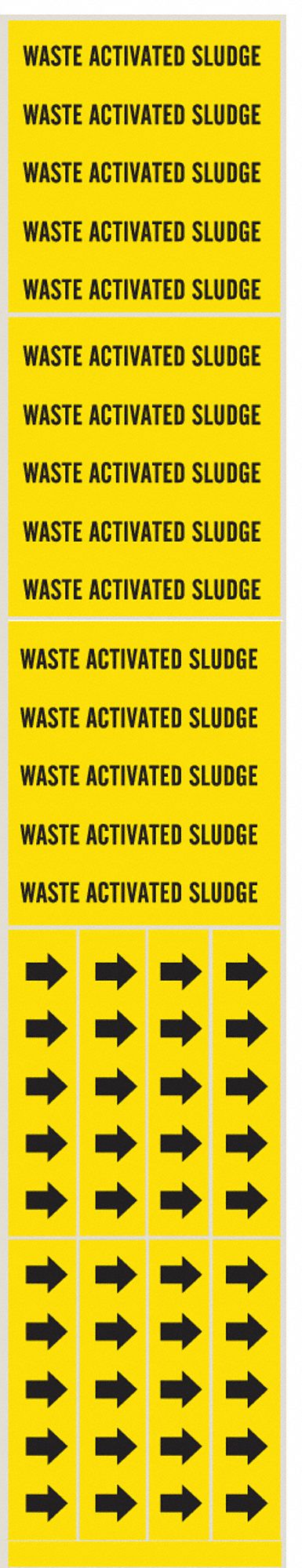 Waste Activated Sludge, Yellow, Pipe Marker - 9NNJ1|7300-3C - Grainger
