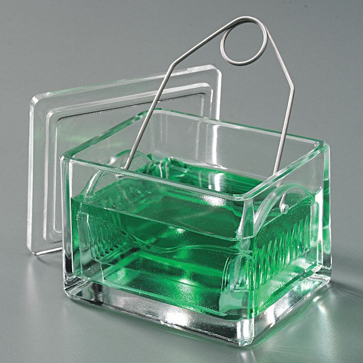 Soda Lime Glass, 20 Slides, Staining Dish Set - 9U808|900200 - Grainger