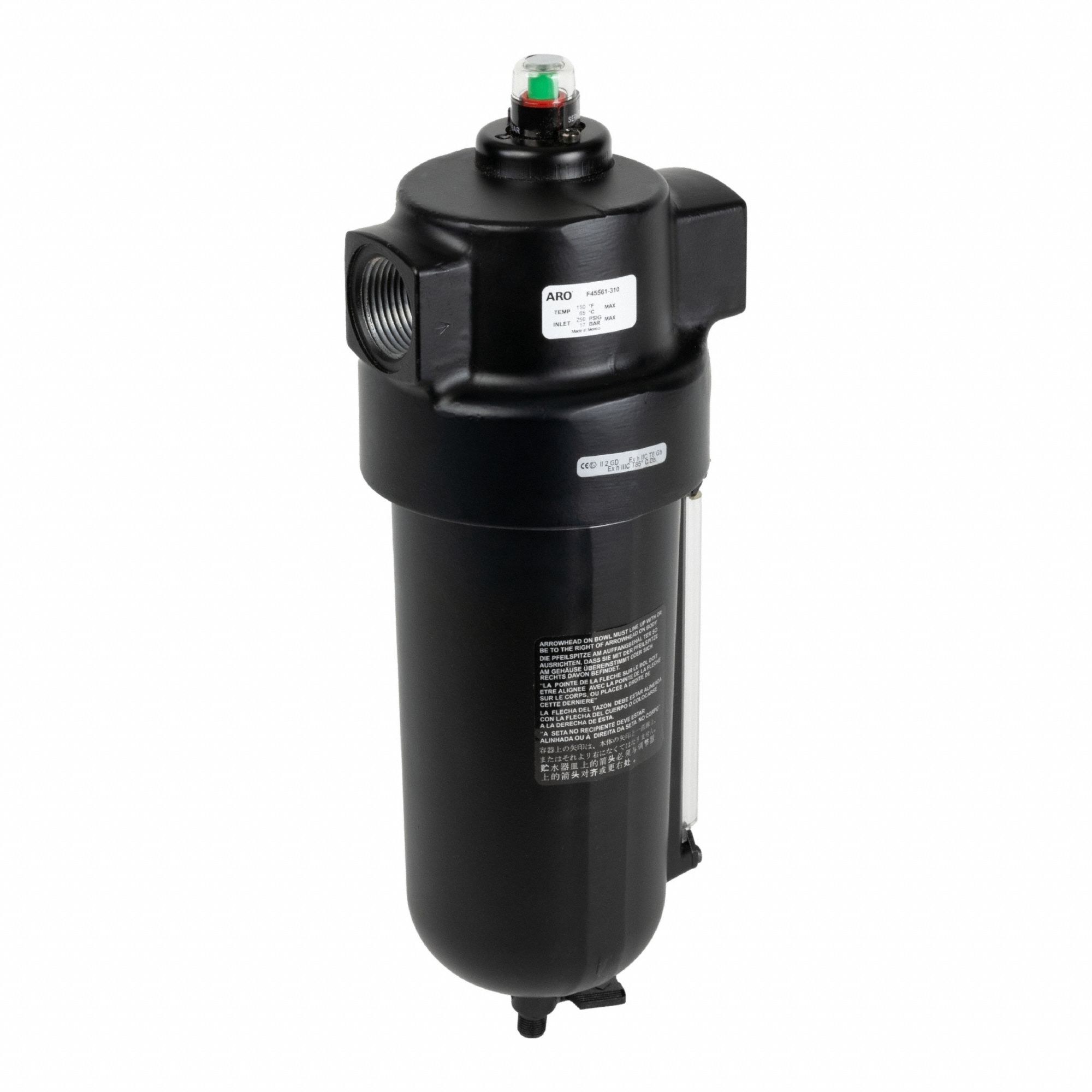 ARO, Coalescing, 2 in NPT, Compressed Air Filter - 860GW9|F45591-310 ...