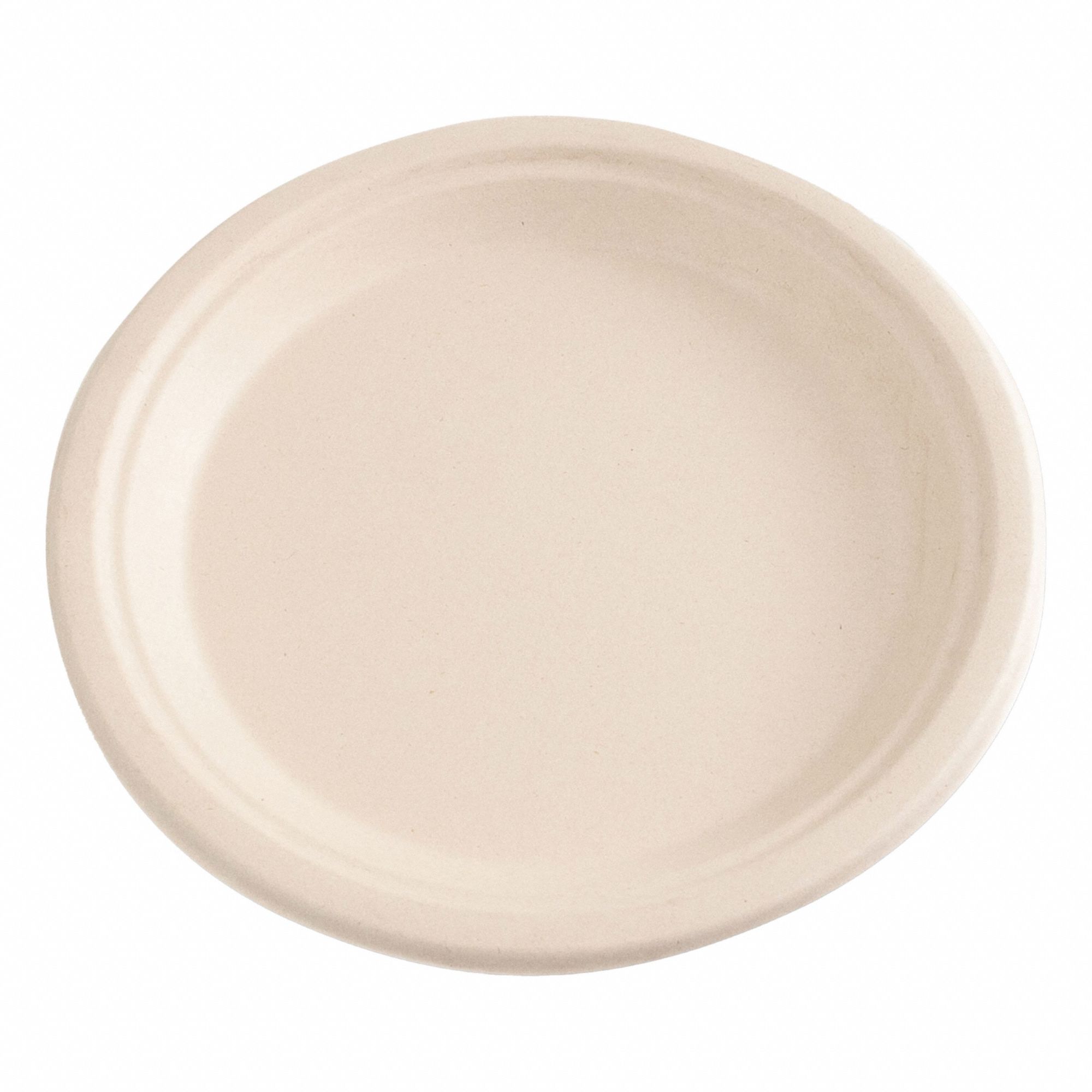 Disposable Plates,White,9 in dia.,PK500 - Grainger