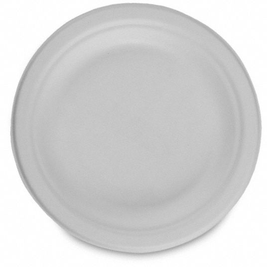 White, 6 in Disposable Plate Size, Disposable Fiber Plate - 799LN1|PL ...