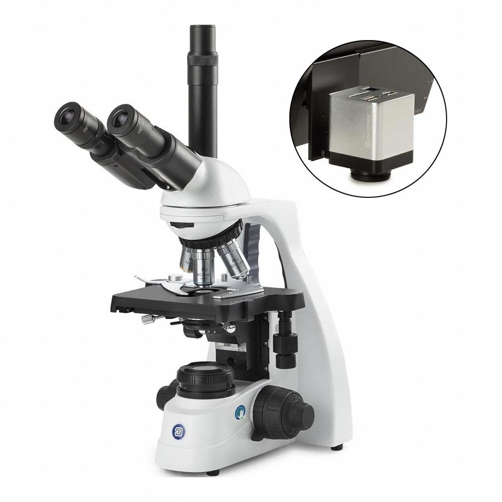 GLOBE SCIENTIFIC, Compound, Trinocular, Microscope - 820YU6|EBS-1153 ...