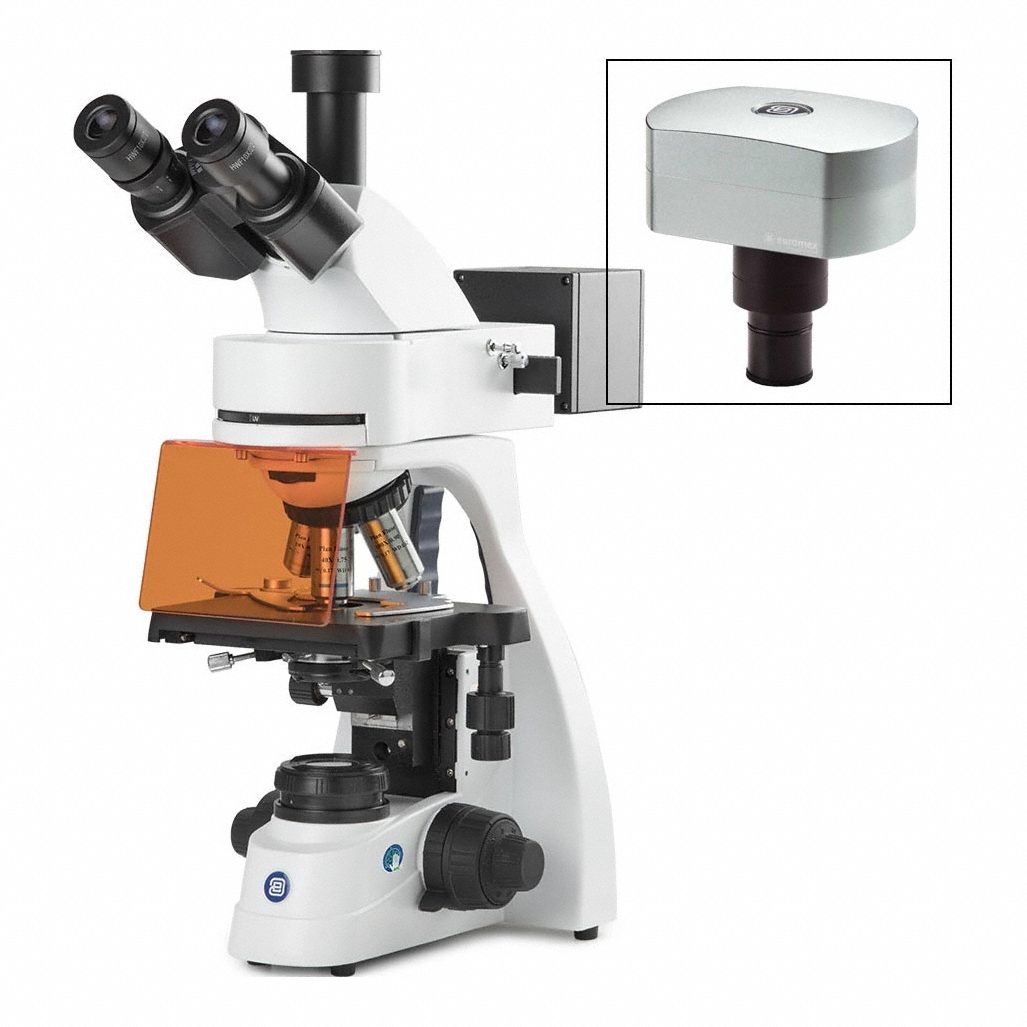 GLOBE SCIENTIFIC, Compound, Trinocular, Microscope - 820YV0|EBS-3153-PLFI-DC18 - Grainger