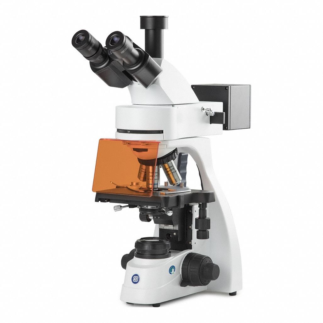 GLOBE SCIENTIFIC, Compound, Trinocular, Microscope - 820YU9|EBS-3153 ...