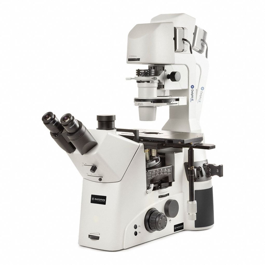 GLOBE SCIENTIFIC, Compound, Trinocular, Microscope - 820YY7|EDI-1053 ...