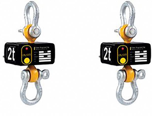 RON CRANE SCALES & DYNAMOMETERS Multi Point Load Monitor,2x 4000 lb ...