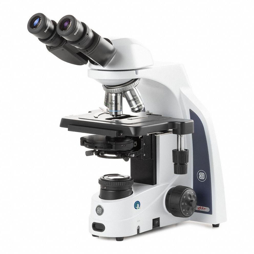 GLOBE SCIENTIFIC, Compound, Binocular, Microscope - 820YV7|EIS-1152 ...
