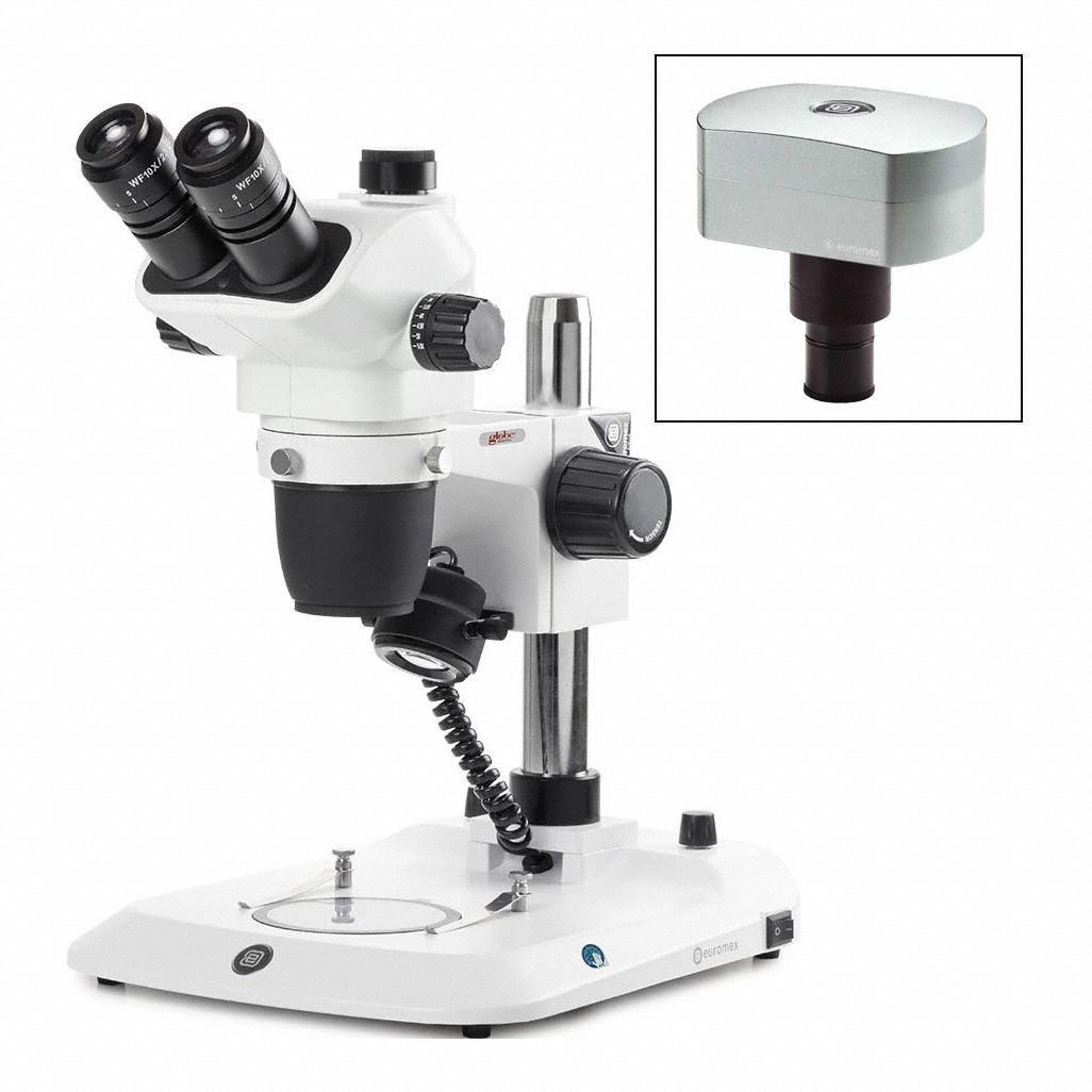 GLOBE SCIENTIFIC, Stereo, Binocular, Microscope - 820YW5|ENZ-1703-P ...