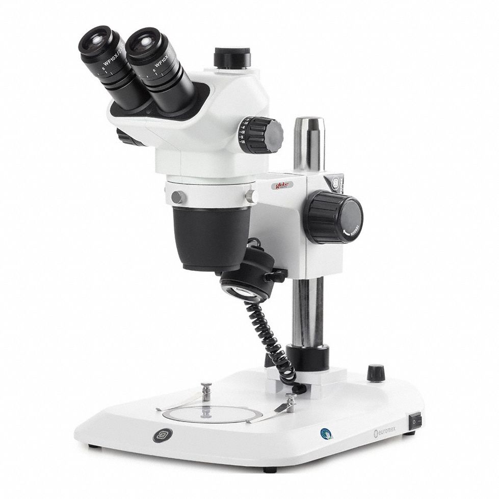 GLOBE SCIENTIFIC, Stereo, Binocular, Microscope - 820YW4|ENZ-1703-P ...