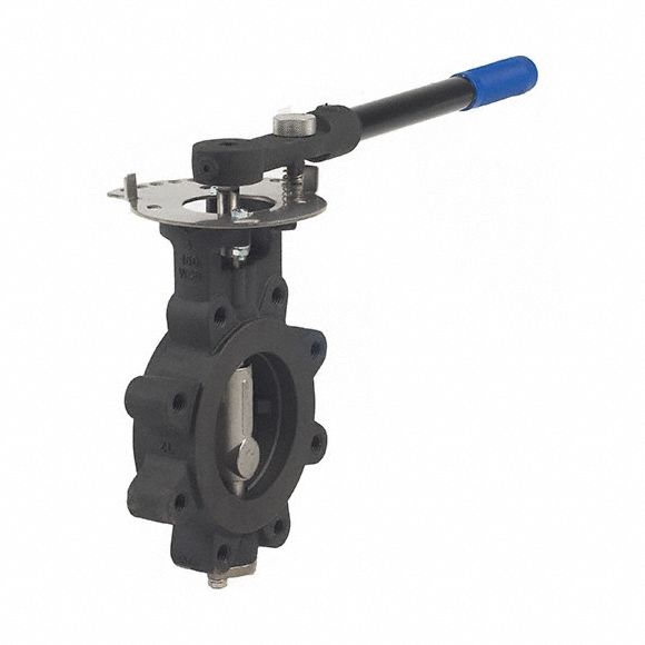 MILWAUKEE VALVE, For Steam Media, 2 1/2 in Pipe Size, Butterfly Valve ...