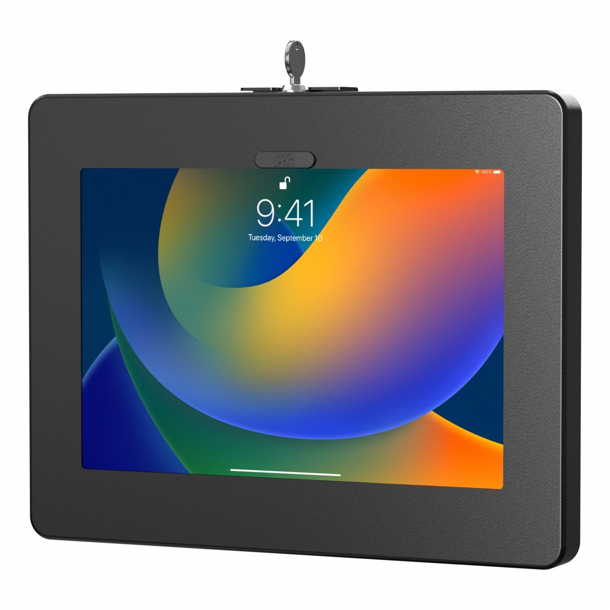 CTA DIGITAL, Black, Metal, Wall Mount Enclosure - 827DV4|PAD-PARAW ...