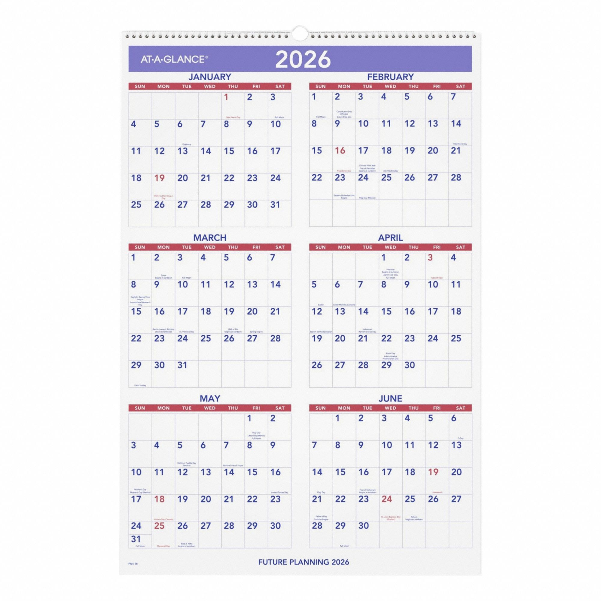 AT-A-GLANCE, 30 in Sheet Ht, 20 in Sheet Wd, Wall Calendar - 848RH6 ...