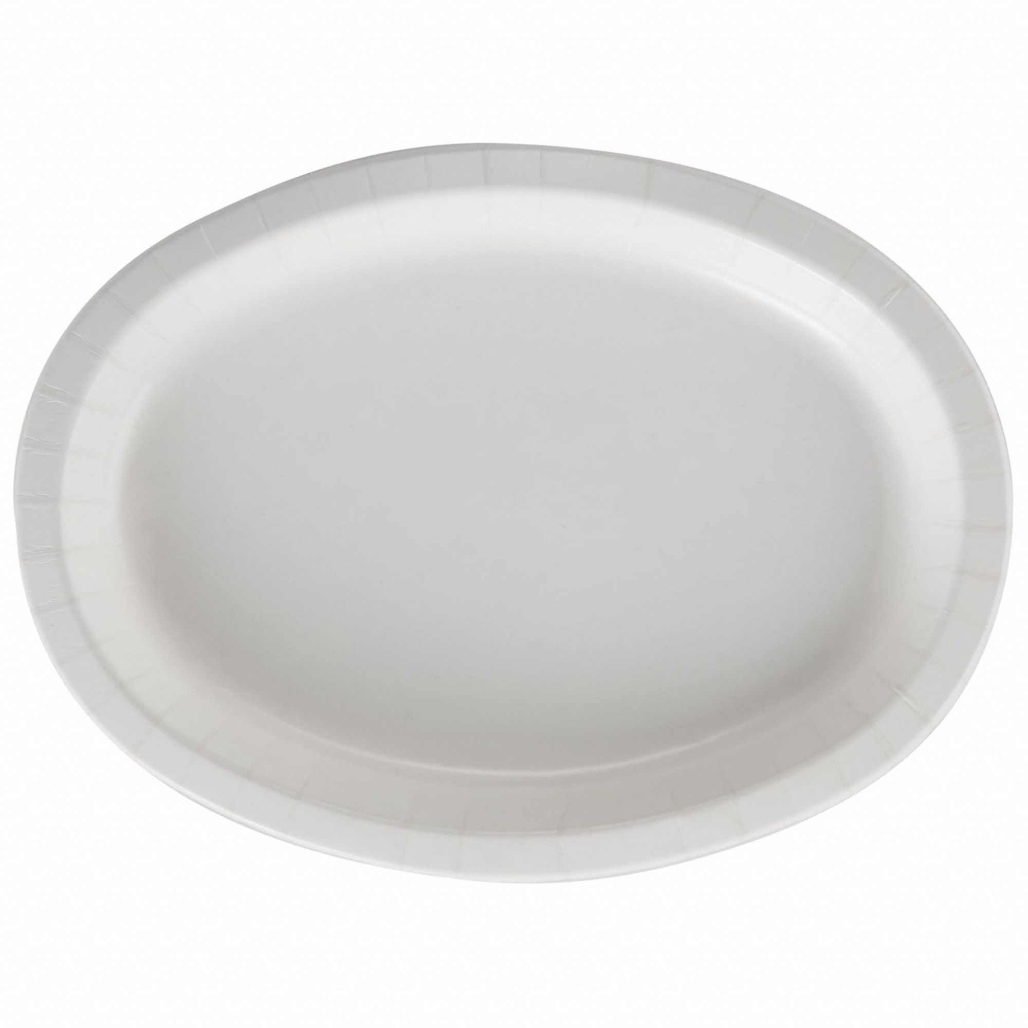 DIXIE, White, Heavy-Wt, Disposable Paper Platter - 800CK7|SX9PLW - Grainger