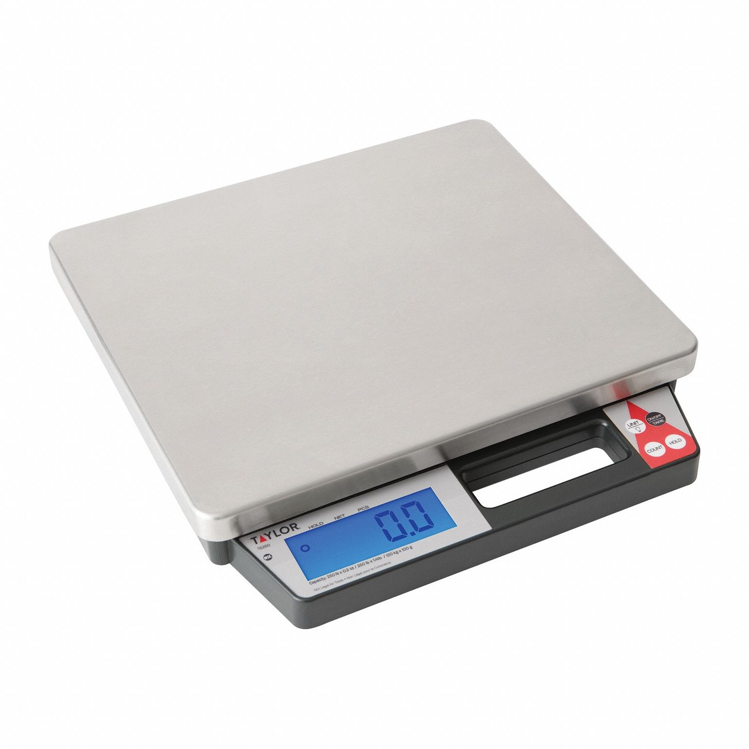 TAYLOR PRECISION PRODUCTS, 120 kg_250 lb Capacity, 0.2 lb_100 g Scale ...