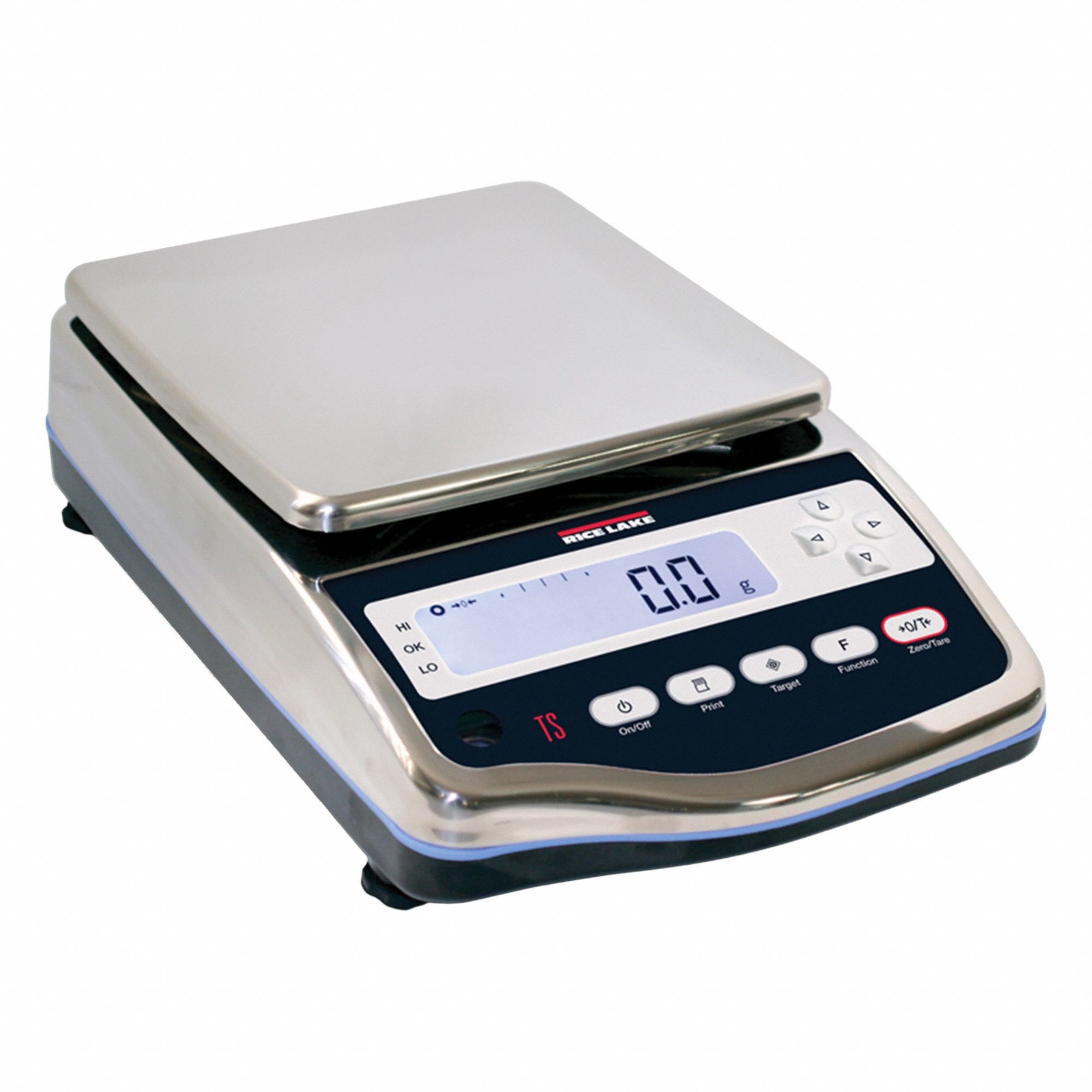 RICE LAKE WEIGHING SYSTEMS, 0.1g, 7 1/2 in Weighing Surface Dp, Bench ...
