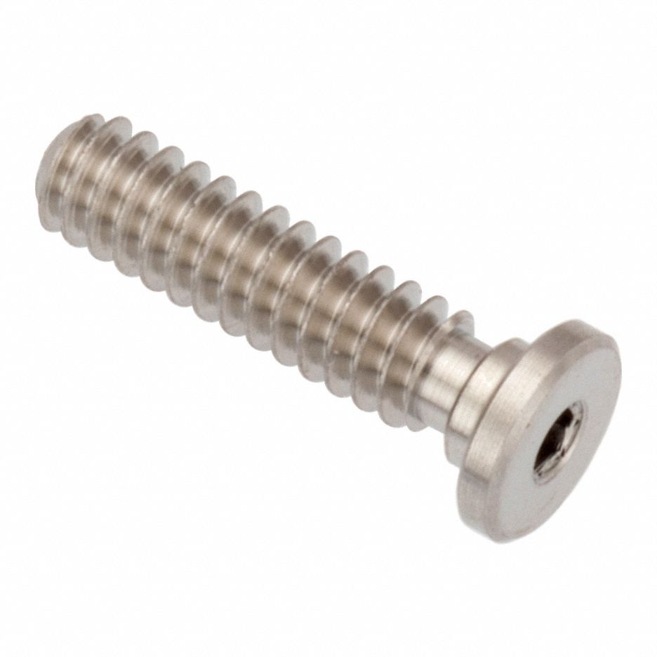 #6-32 Thread Size, 1/2 in Lg, Socket Head Cap Screw - 811Z26 ...
