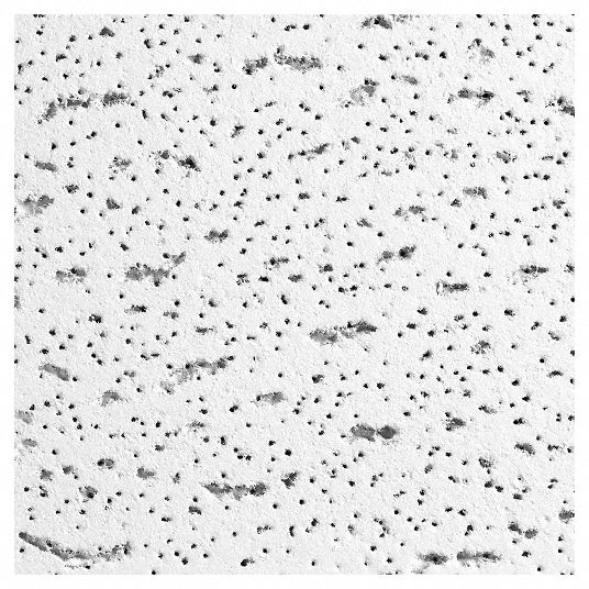 ARMSTRONG, 1752B, 24 in x 24 in, Ceiling Tile - 32WL56|1752B - Grainger