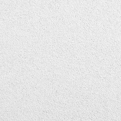 ARMSTRONG 1912A Ceiling Tile,24 in L,24 in W,PK12 5UTN6 | eBay